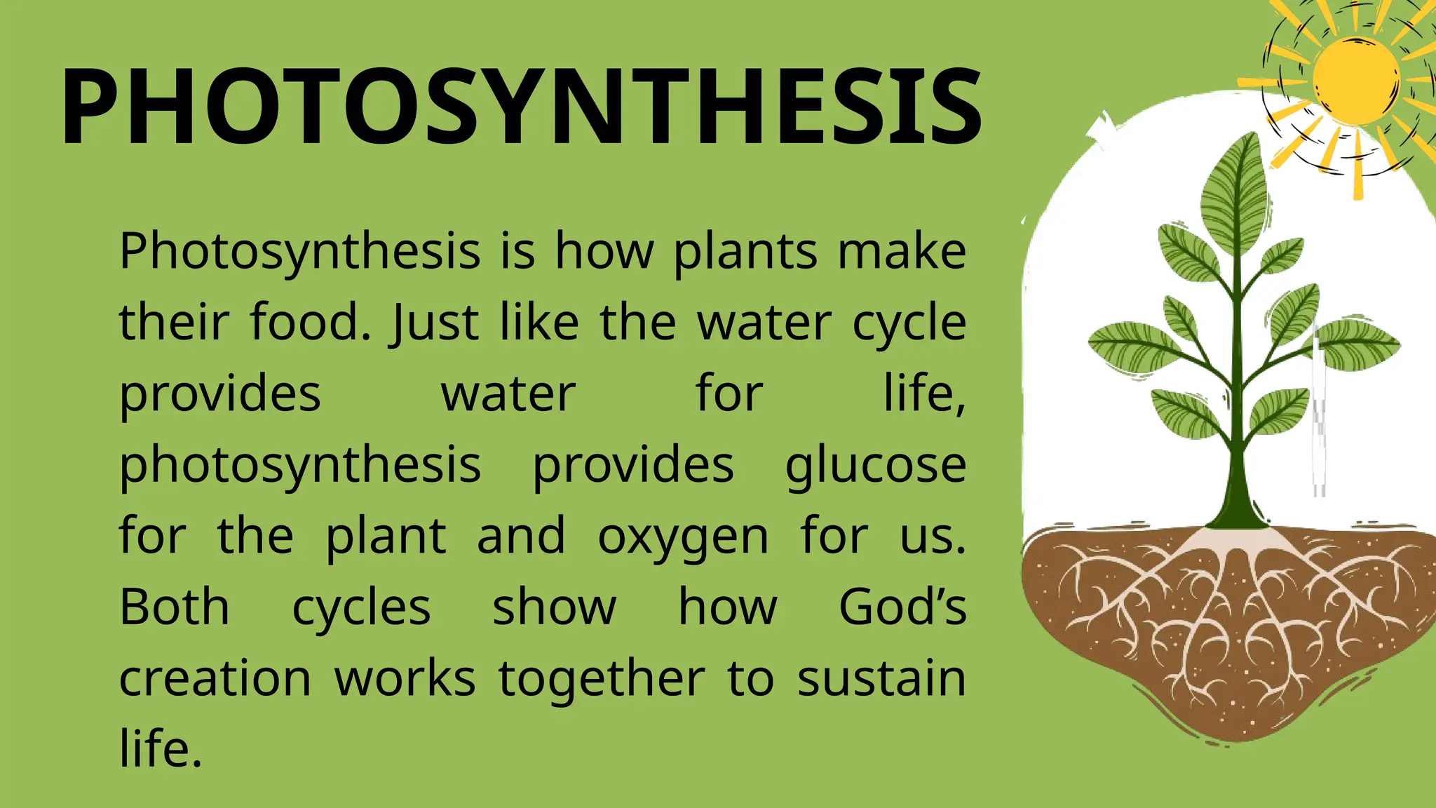 Photosynthesis Powerpoint presentation(1).pptx