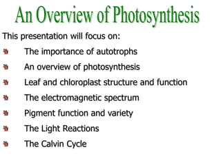 Photosynthesis 2011 - 2012 | PPTX