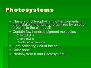 Photosynthesis 2 | PPT
