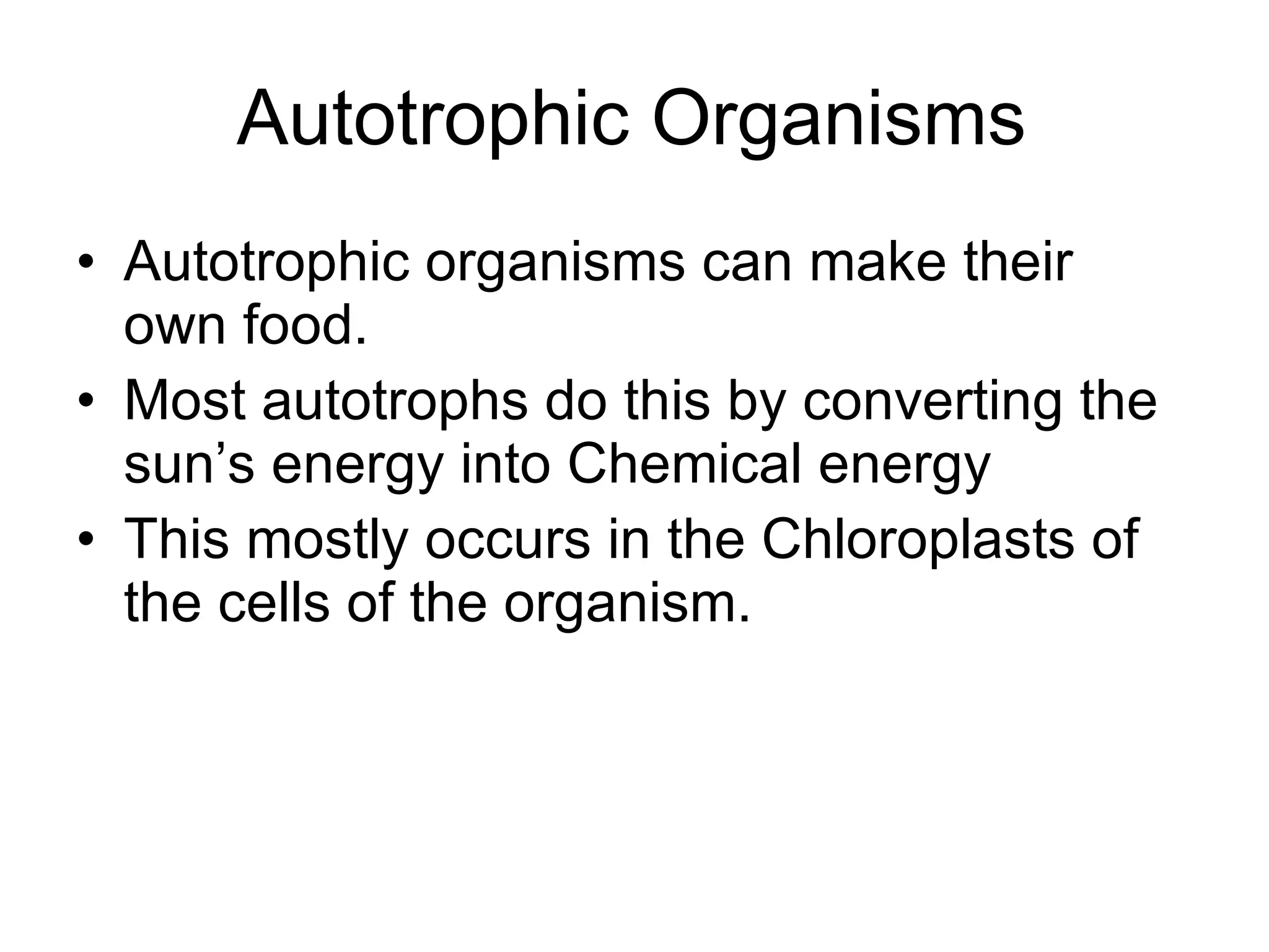 Photosynthesis(2) | PPT