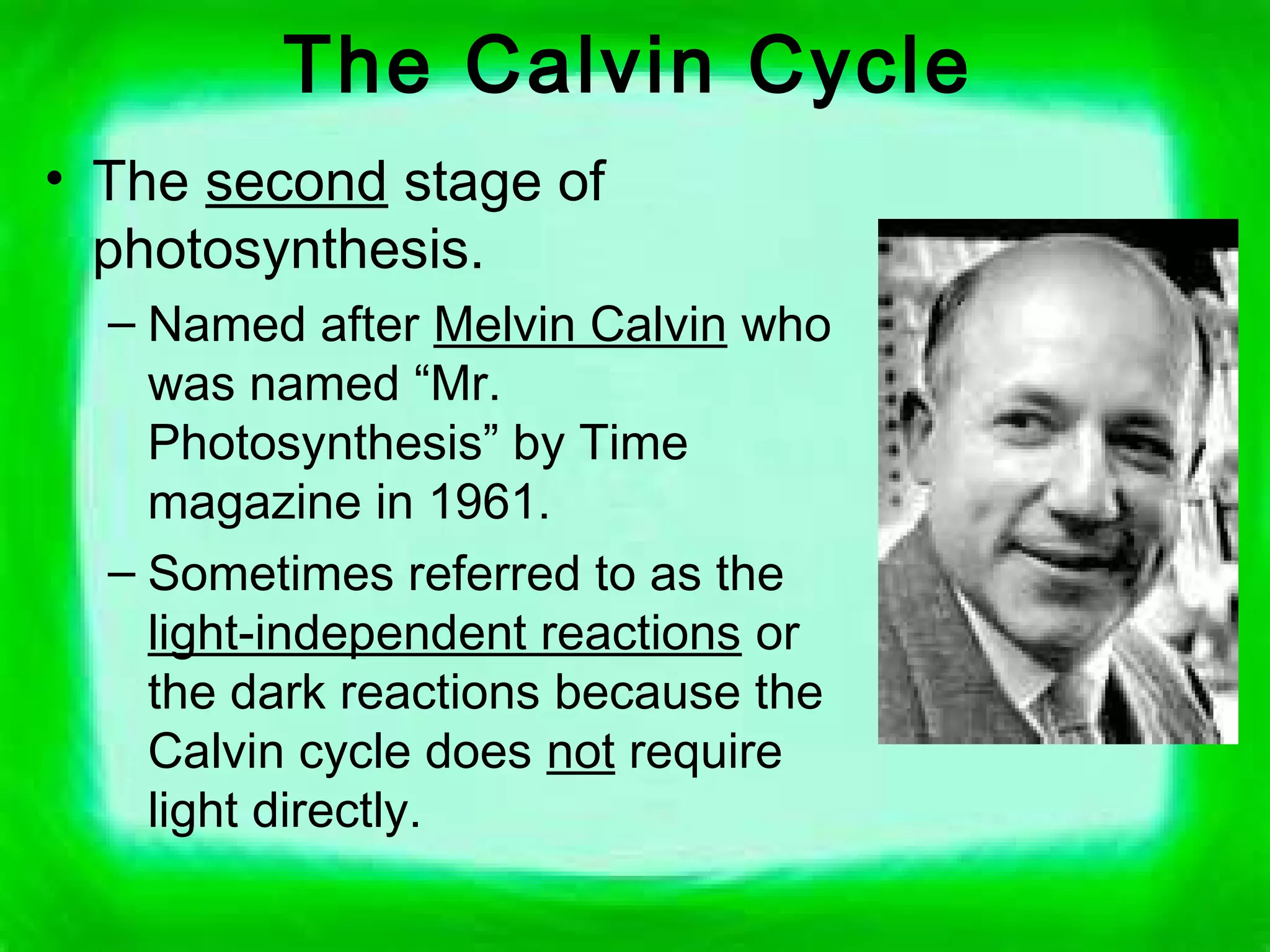 Chapter 6 - Photosynthesis | PPT