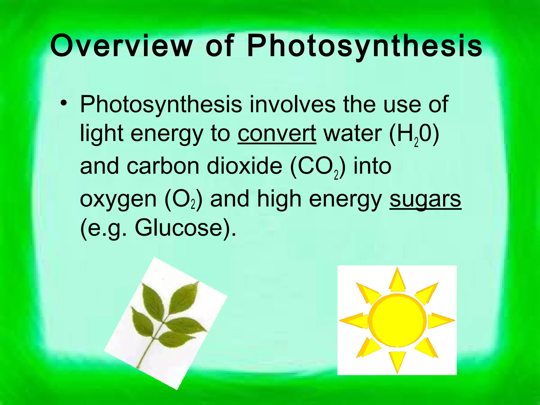 Chapter 6 - Photosynthesis | PPT