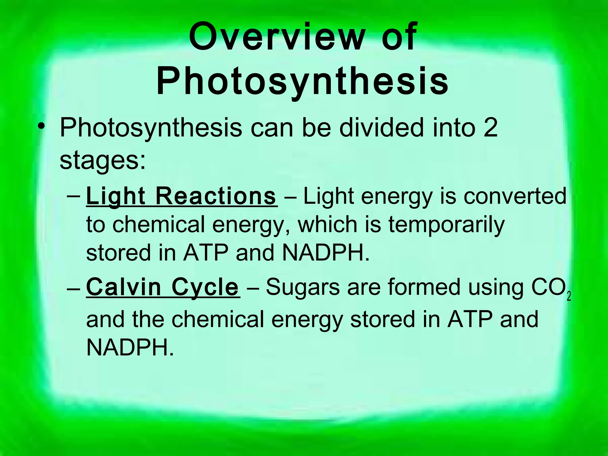 Chapter 6 - Photosynthesis | PPT