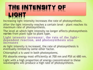 Photosynthesis | PPT