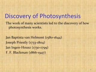 Photosynthesis | PPT