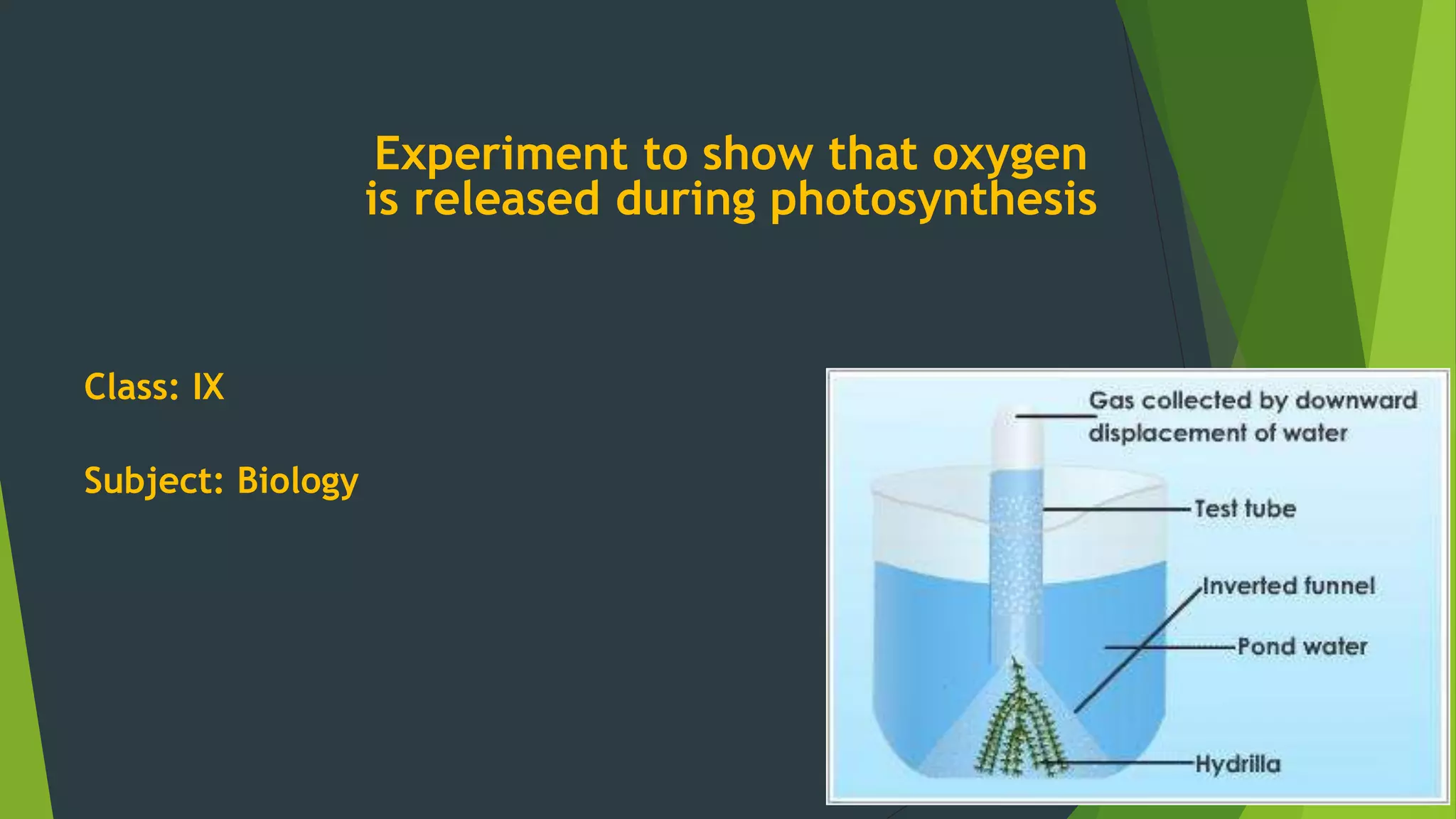 5 E Model lesson plan in biology- Photosynthesis | PPTX