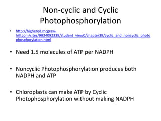Photosynthesis 5 the light dependent reaction | PPTX