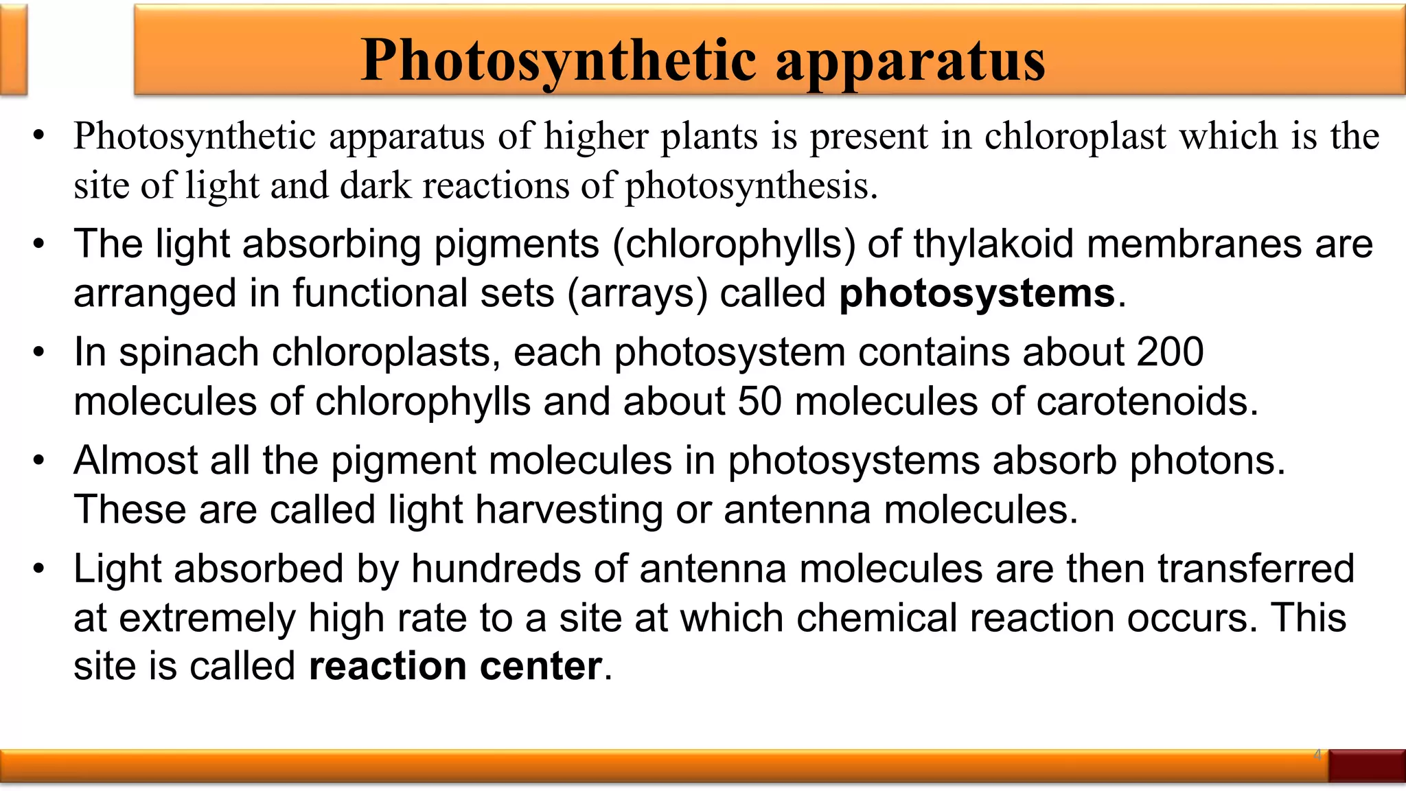 Photosynthesis | PPTX