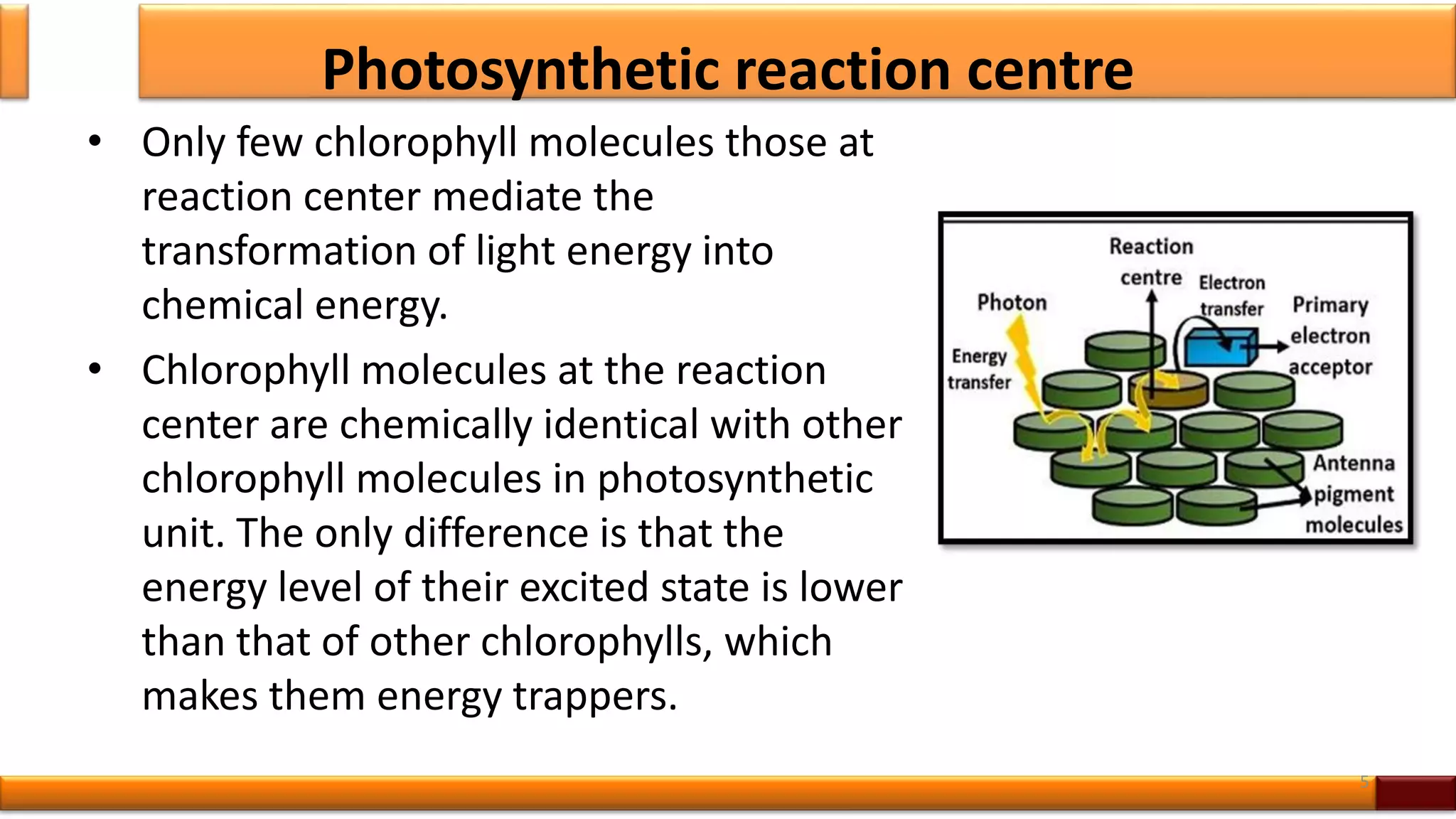 Photosynthesis | PPTX