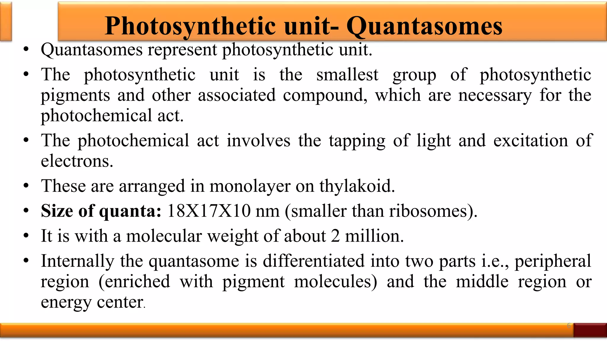 Photosynthesis | PPTX