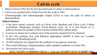 Photosynthesis | PPTX