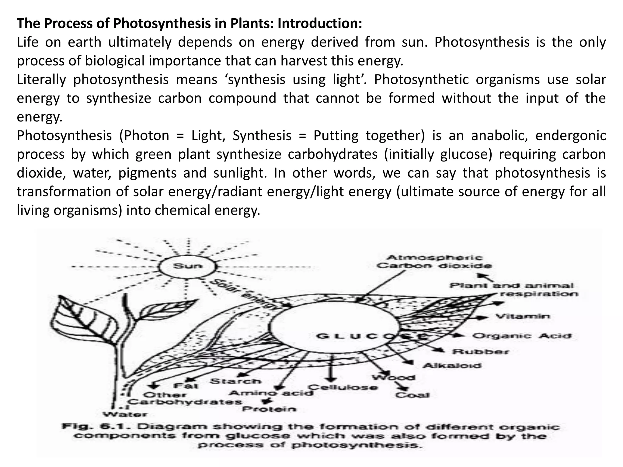 Photosynthesis Part A | PPTX