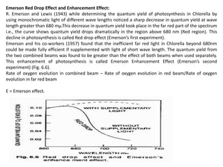 Photosynthesis Part A | PPT