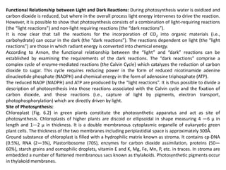 Photosynthesis Part A | PPTX