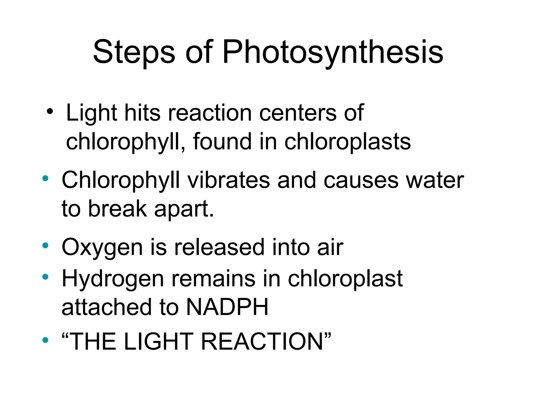 Photosynthesis Presentation for A level.ppt