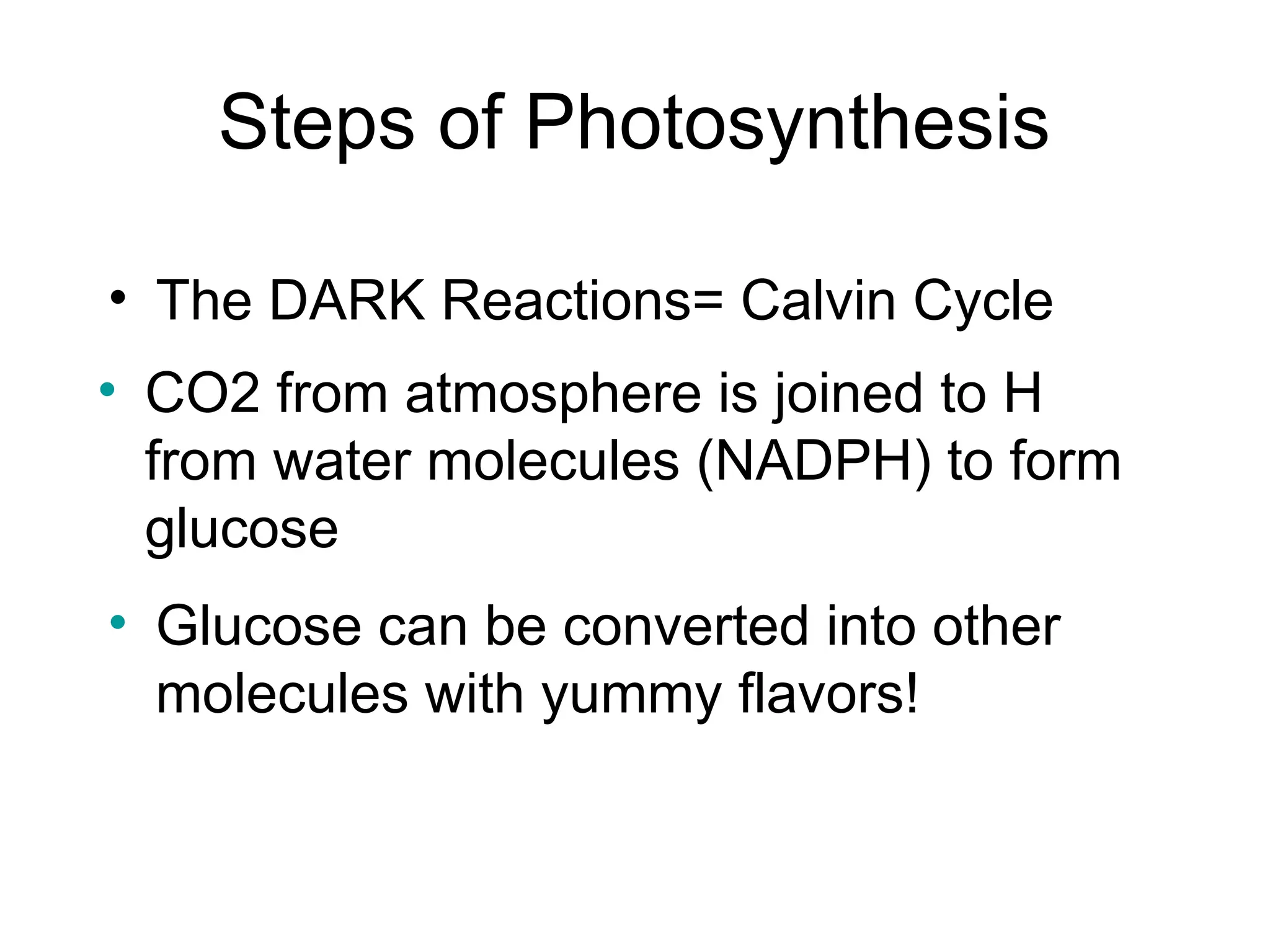 Photosynthesis Presentation for A level.ppt