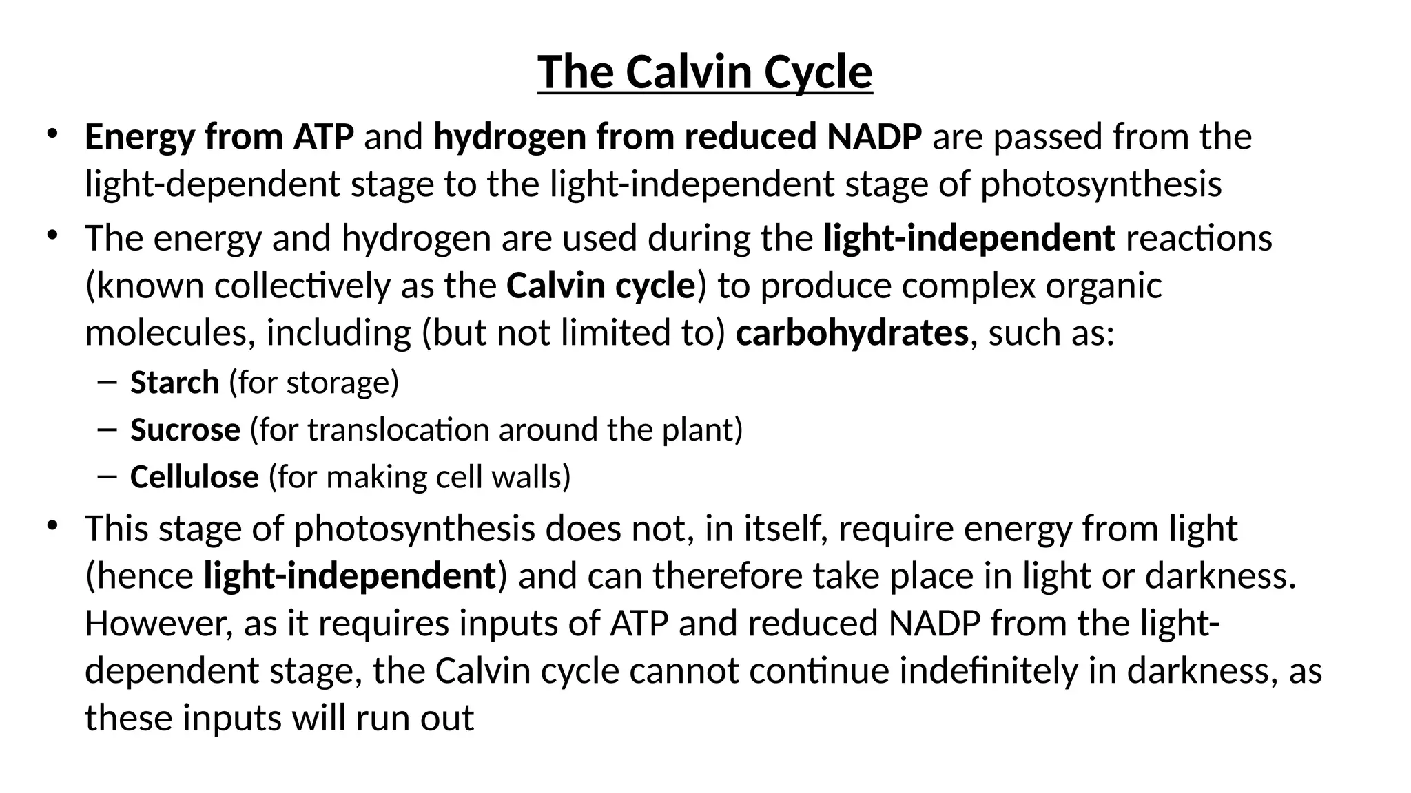 PhotosynthesisXXXXXXXXXXXXXXXXXXX A2 .pptx
