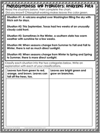 Photosynthesis activity.pdf
