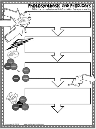 Photosynthesis activity.pdf