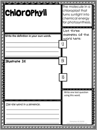 Photosynthesis activity.pdf