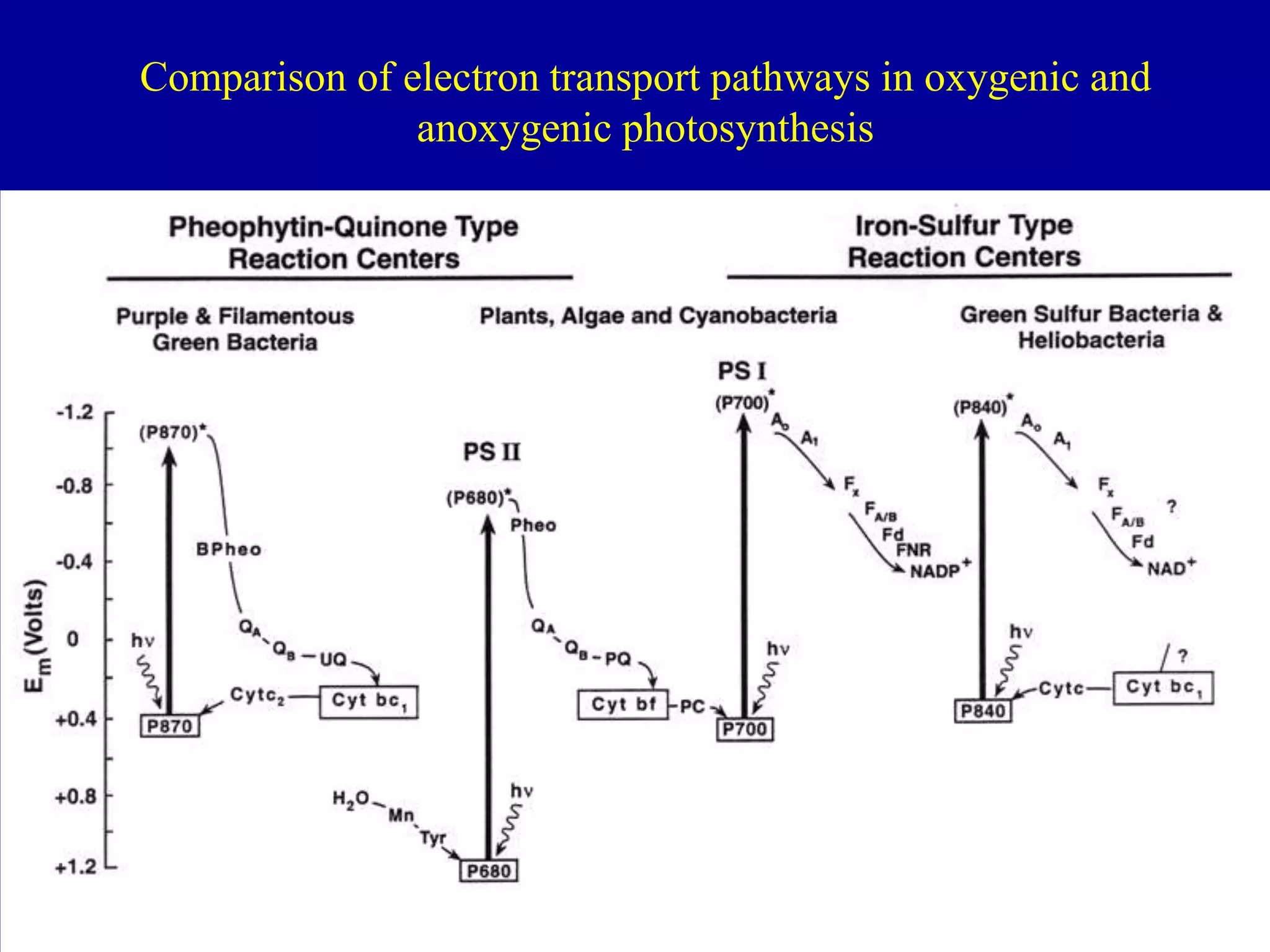 Photosynthesis C3 and C4 cycle, Dr.Kamlesh shah, PSSHDA,KADI | PPT