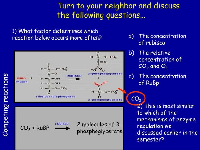 Photosynthesis C3 and C4 cycle, Dr.Kamlesh shah, PSSHDA,KADI | PPT