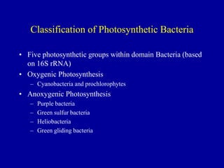 Photosynthesis C3 and C4 cycle, Dr.Kamlesh shah, PSSHDA,KADI | PPT