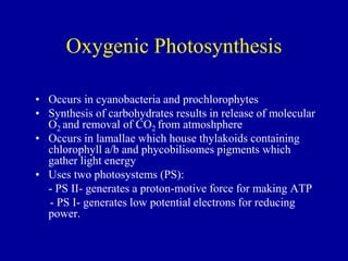 Photosynthesis C3 and C4 cycle, Dr.Kamlesh shah, PSSHDA,KADI | PPT