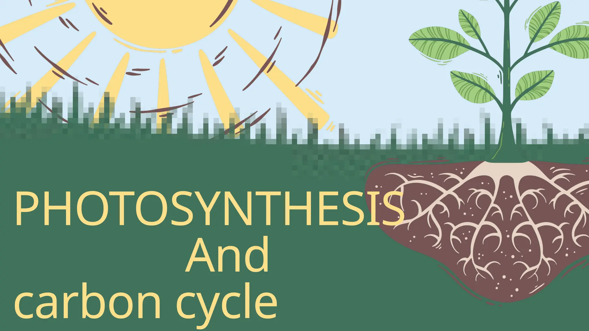 Photosynthesis and carbon cycle grade 8.pptx