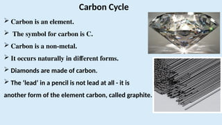 Photosynthesis and carbon cycle grade 8.pptx