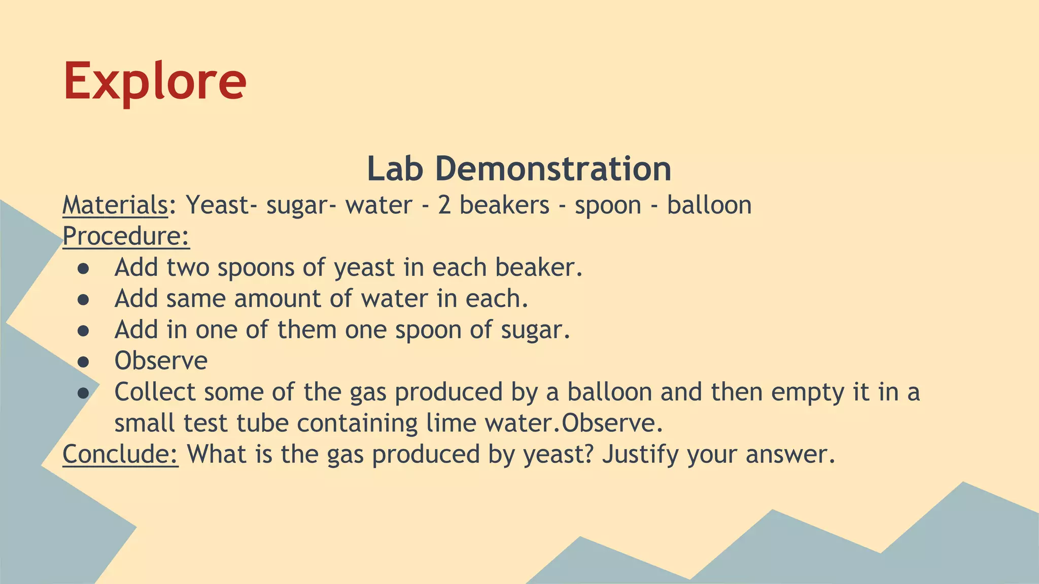 Photosynthesis and cell respiration | PPTX | Biological Sciences | Science