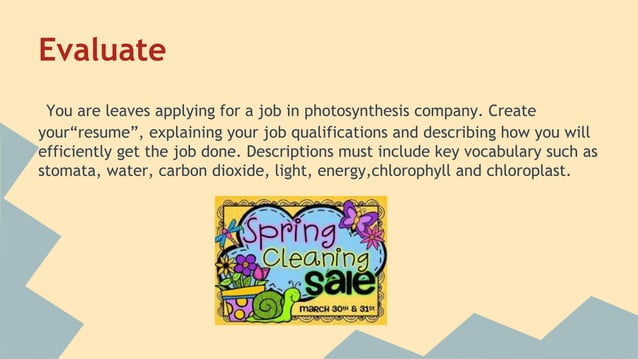 Photosynthesis and cell respiration | PPTX | Biological Sciences | Science