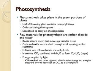 Photosynthesis/Cell Resp. | PPT