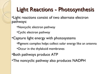 Photosynthesis/Cell Resp. | PPT