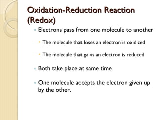 Photosynthesis/Cell Resp. | PPT