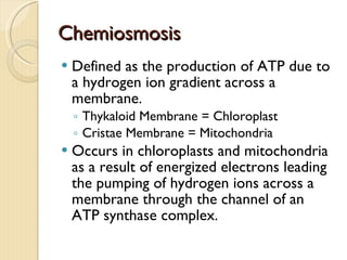Photosynthesis/Cell Resp. | PPT