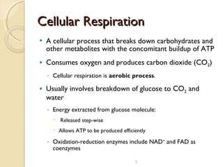 Photosynthesis/Cell Resp. 2 | PPT