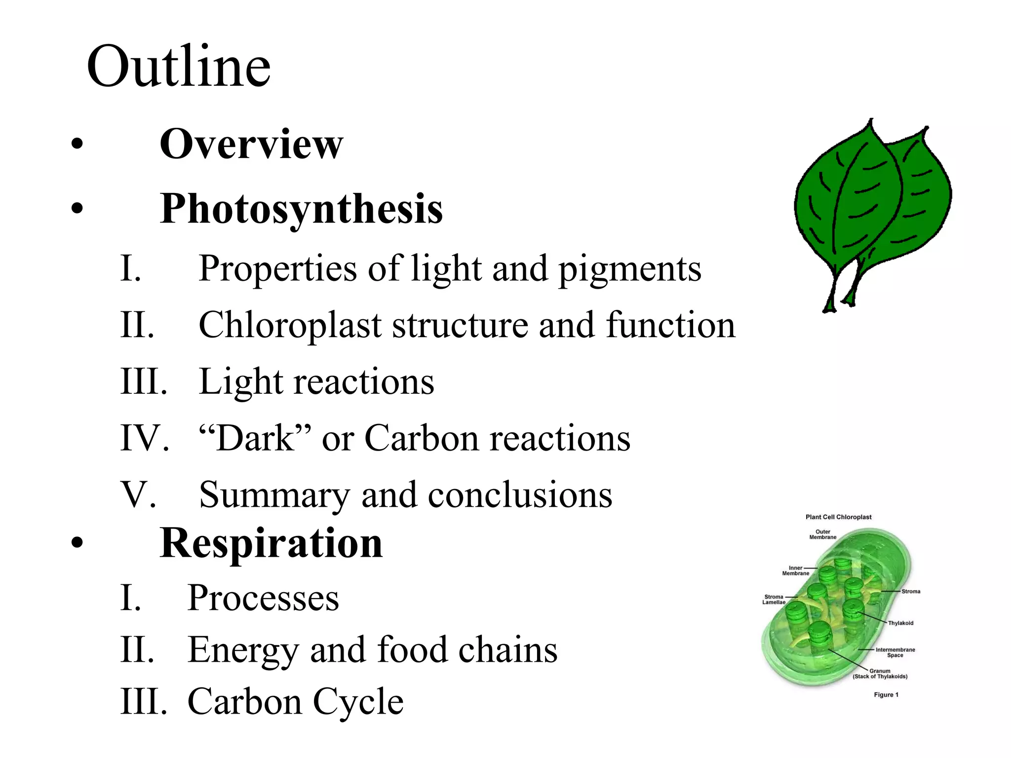 Photosynthesis and Cellular Respiration-0.ppt | Chemistry | Science