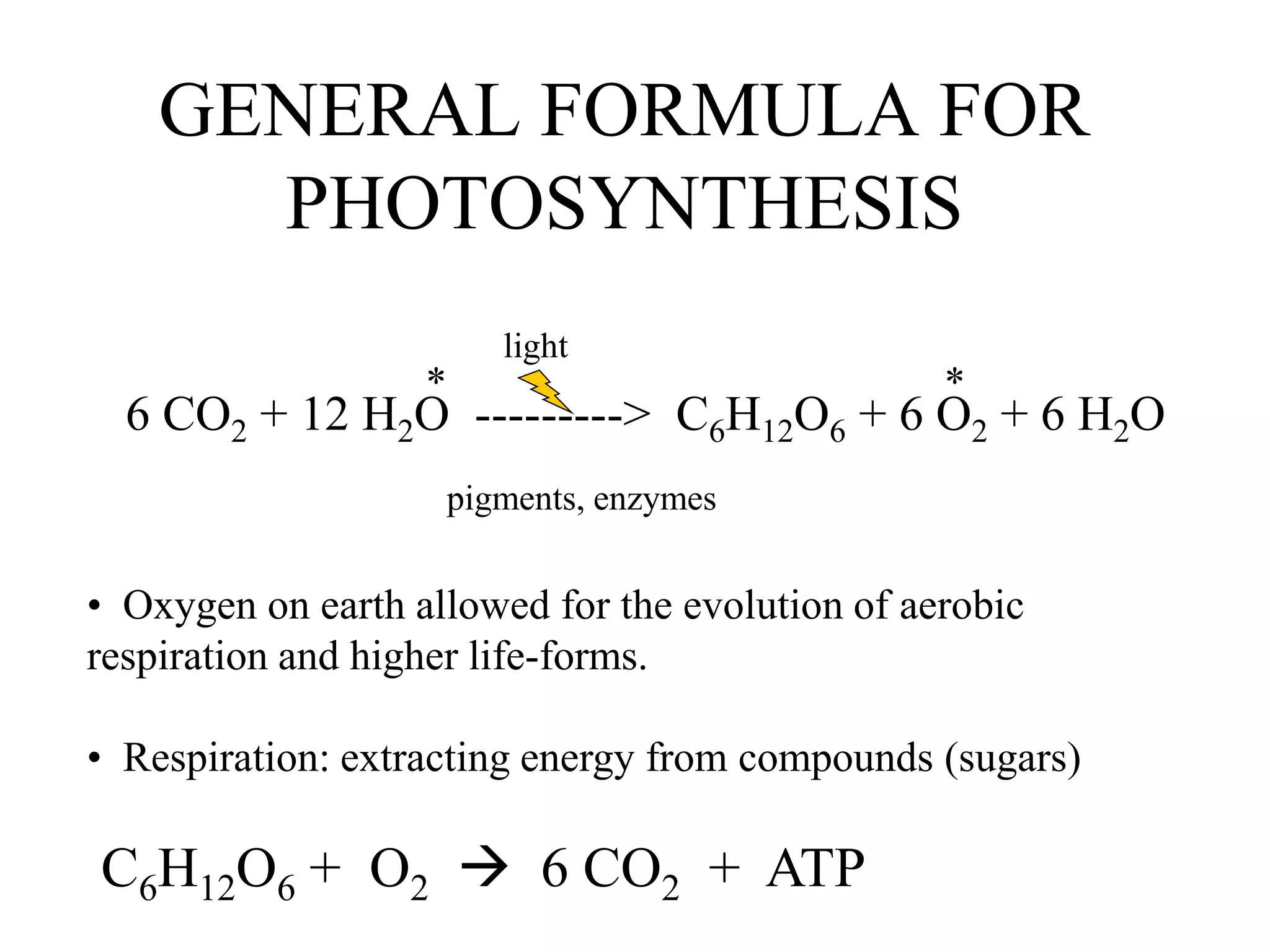 Photosynthesis and Cellular Respiration-0.ppt