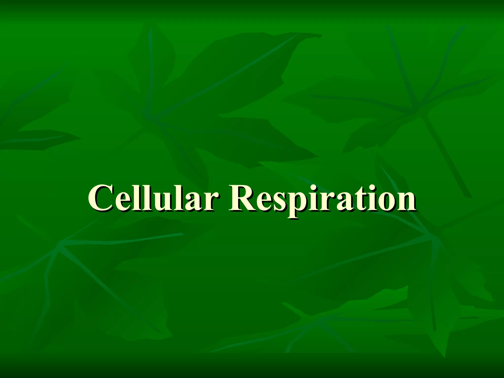 Photosynthesisand cellularrespiration | PPT