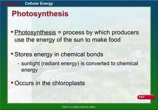 Photosynthesis and Cellular Respiration (An Introduction) | PPT