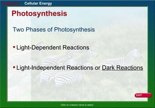 Photosynthesis and Cellular Respiration (An Introduction) | PPT