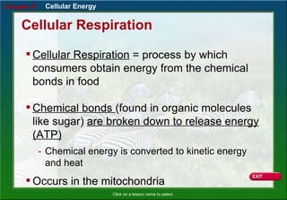 Photosynthesis and Cellular Respiration (An Introduction) | PPT