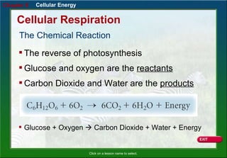 Photosynthesis and Cellular Respiration (An Introduction) | PPT