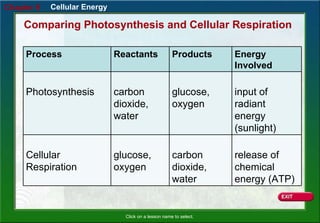 Photosynthesis and Cellular Respiration (An Introduction) | PPT