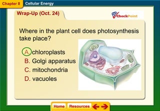 Photosynthesis and Cellular Respiration (An Introduction) | PPT