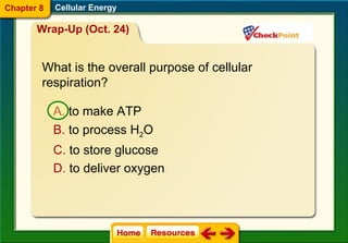 Photosynthesis and Cellular Respiration (An Introduction) | PPT