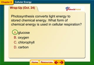 Photosynthesis and Cellular Respiration (An Introduction) | PPT