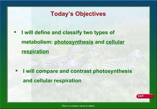 Photosynthesis and Cellular Respiration (An Introduction) | PPT