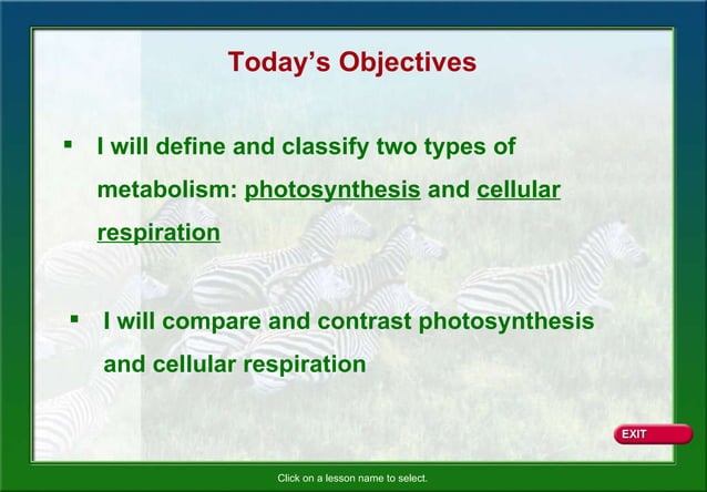 Photosynthesis and Cellular Respiration (An Introduction) | PPT ...